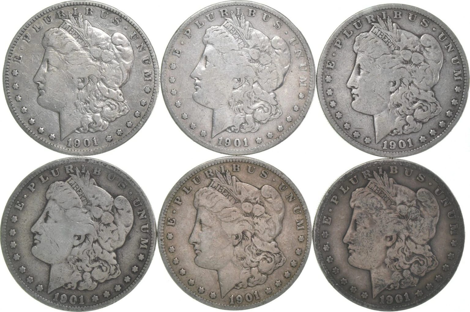 Morgan dollars key dates and grading basics that matter – Decluttering Mom