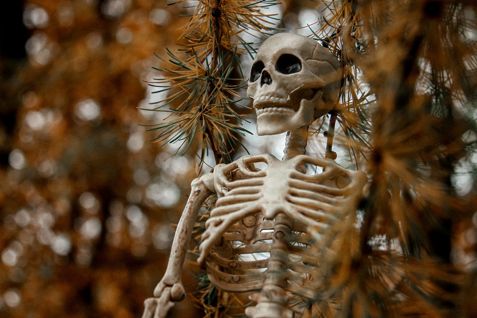 13 Halloween Yard Displays Neighbors Secretly Hate – Decluttering Mom
