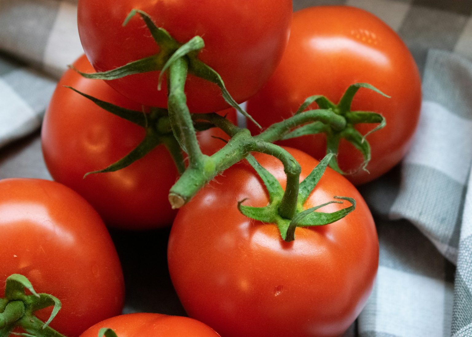 So, Apparently, You’re Not Supposed to Refrigerate Tomatoes ...