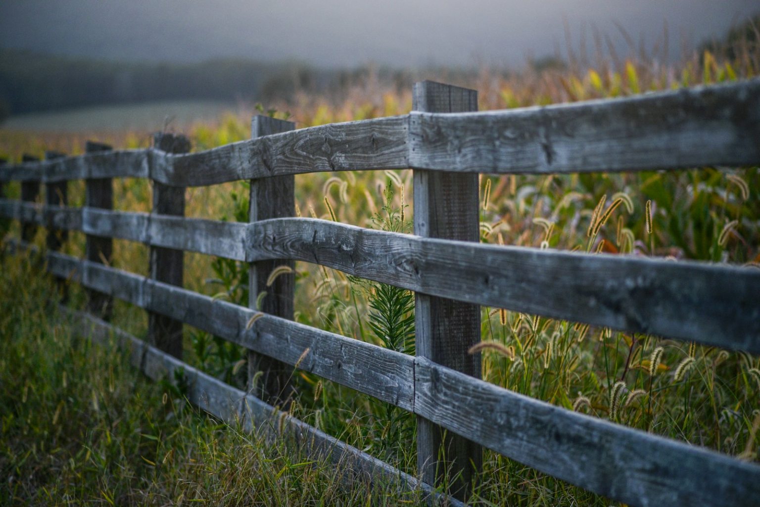 Silent Signs Your Fence Has a Serious Problem – Decluttering Mom