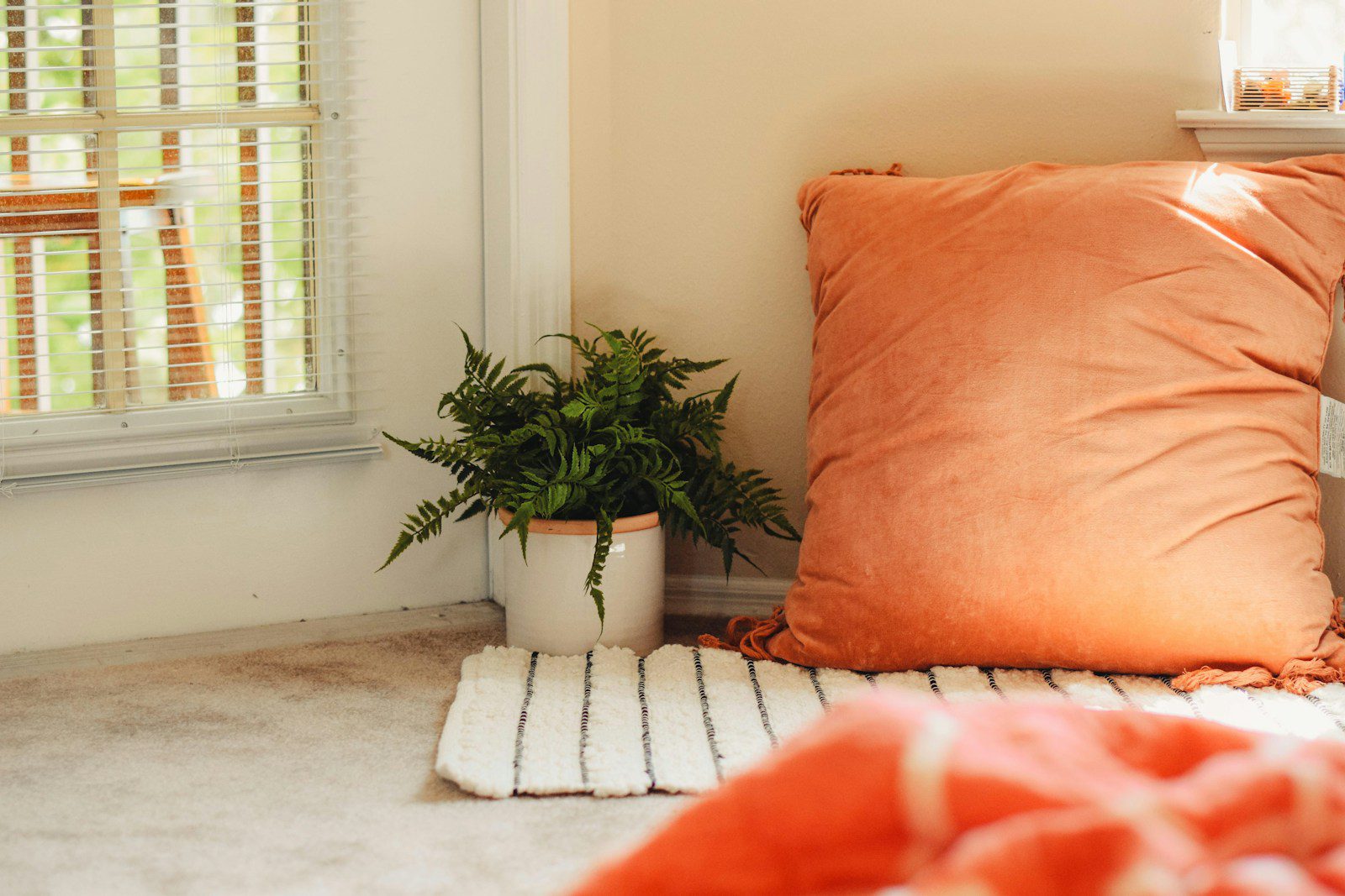 Allergy Specialists Identify 4 Household Dust Traps Many Families ...